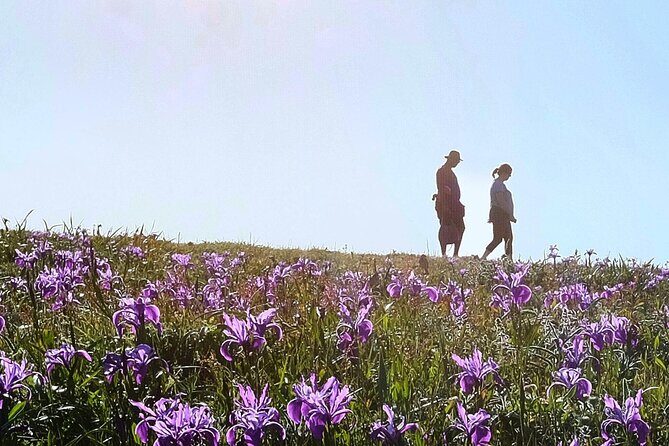 A Self-Guided Audio Tour Around Bodega Head - Final Thoughts: The Value of Flexibility and Nature