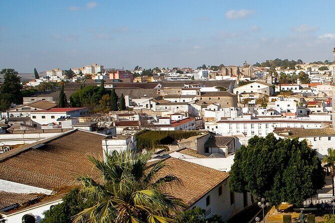 A Self-Guided Exploration of Jerez de la Frontera - The Practical Side: What to Expect