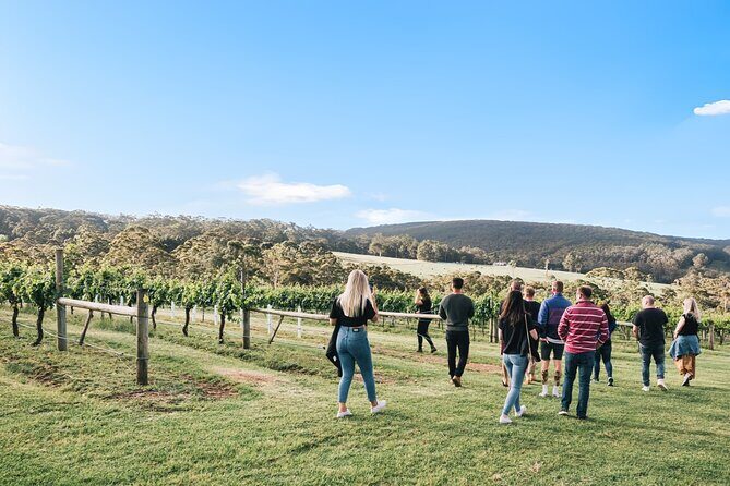 A Sense of Place a Wine Tasting Experience in Denmark - Behind the Scenes with a Guided Vineyard Tour