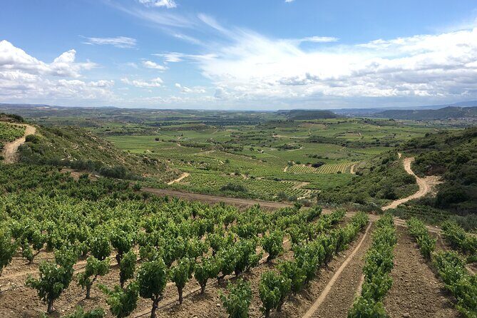 A Sip-By-Sip Tour of 3 Boutique Rioja Family Wineries (Private Tour with Lunch) - Introduction
