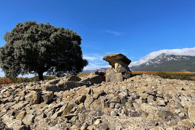 A Sip-By-Sip Tour of 3 Boutique Rioja Family Wineries (Private Tour with Lunch) - Who Will Benefit Most?