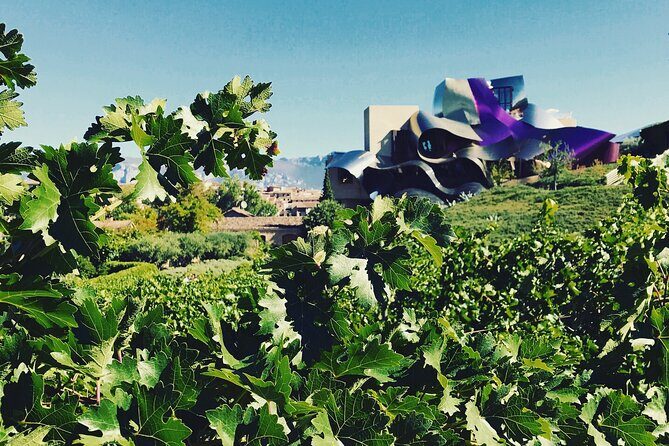 A Sip-By-Sip Tour of 3 Boutique Rioja Family Wineries (Private Tour with Lunch) - Final Thoughts