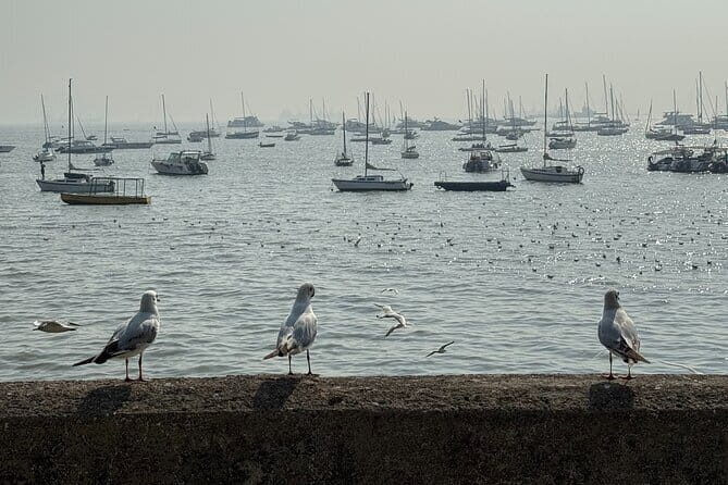 A Symphony of Seven Islands - Discover Mumbai's story in One Day - Key Points