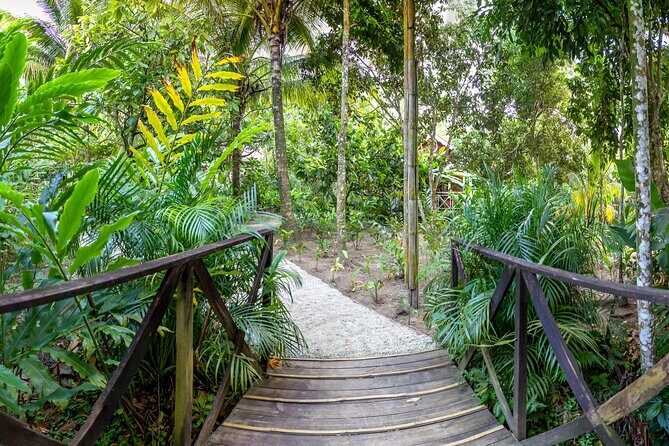 A Taste of Fond Doux Private Walking Tour - Exploring the Tour Itinerary in Detail