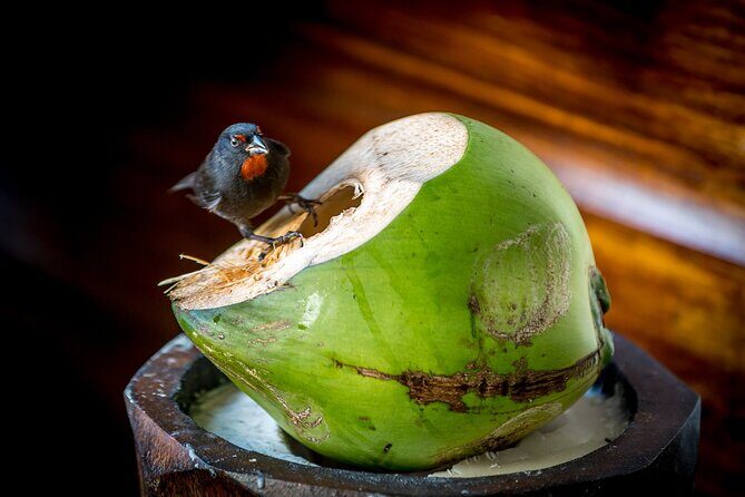 A Taste of Fond Doux Private Walking Tour - Additional Notes