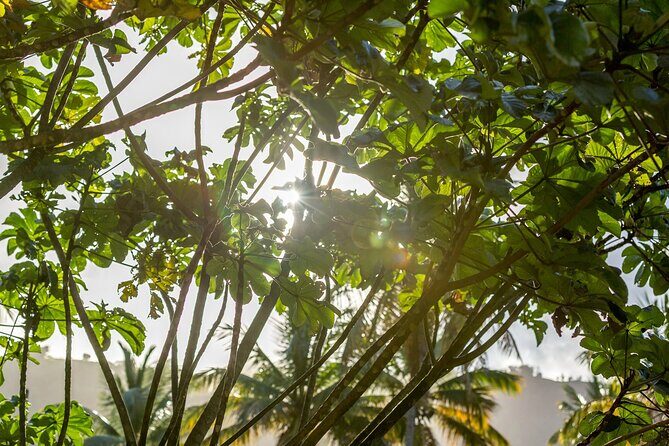 A Taste of Fond Doux Private Walking Tour - Frequently Asked Questions