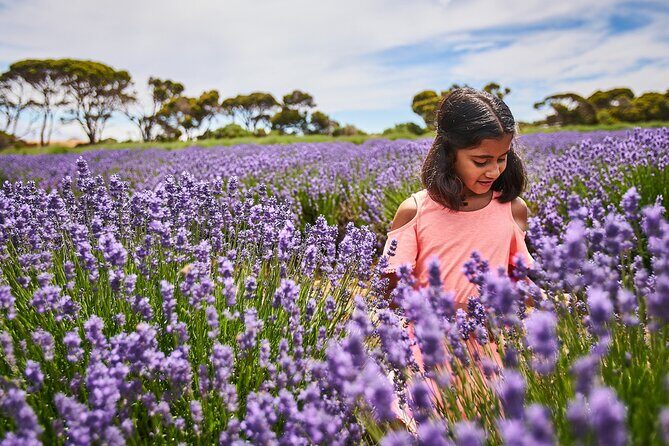 A Taste Of Kangaroo Island - An In-Depth Look at the Itinerary