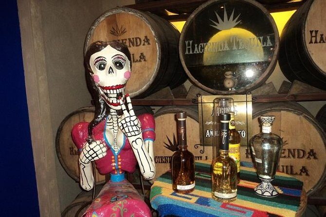 A taste of Los Cabos. A San Jose and Cabo San Lucas City Tour - Exploring the Itinerary in Detail