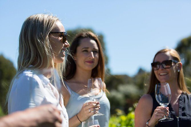 A Taste of Margaret River Seaplane Tour - Who Will Love This Tour?