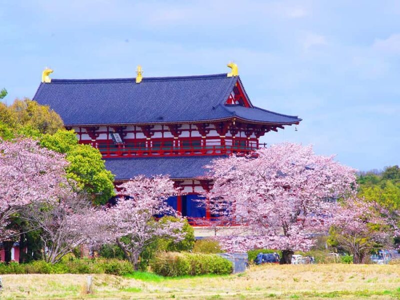 A Thousand Blossoms & Deer: Nara Spring Day Tour - Kasuga Taisha: Lanterns and Tranquility