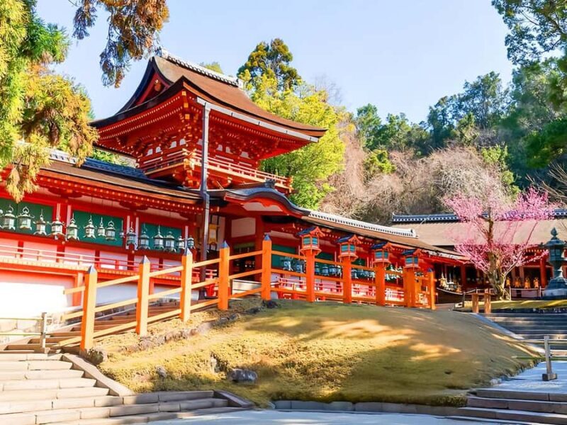 A Thousand Blossoms & Deer: Nara Spring Day Tour - Tōdai-ji: The Giant Buddha and Architectural Marvel