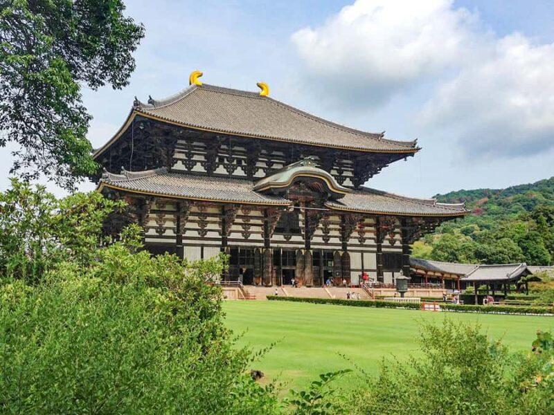 A Thousand Blossoms & Deer: Nara Spring Day Tour - Mount Yoshino: A Blossoming Panorama