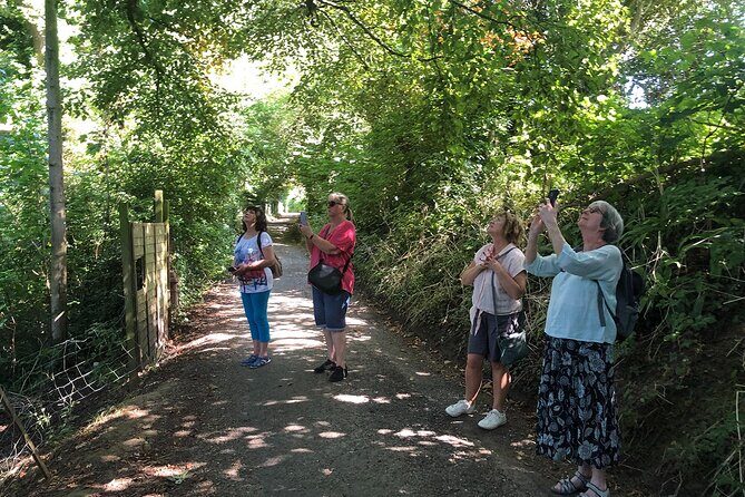 A Tour of Glastonbury, Guided by the Trees. - The Sum Up