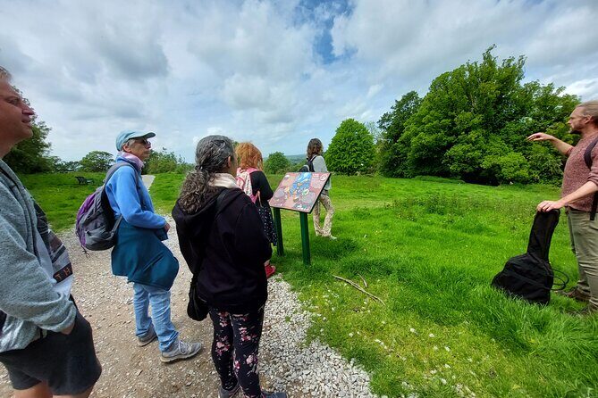 A Tour of Glastonbury, Guided by the Trees. - FAQ