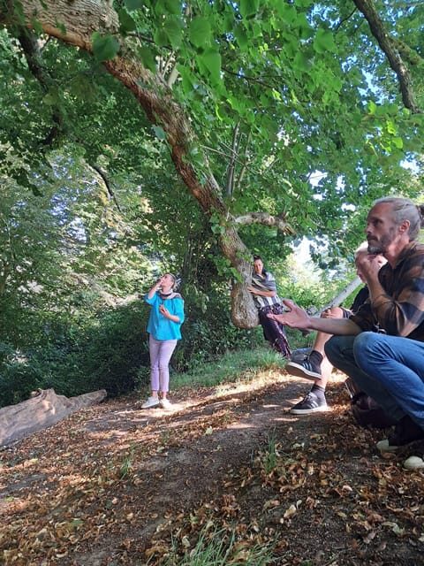 A Tour of Glastonbury - Guided by the Trees - Key Points