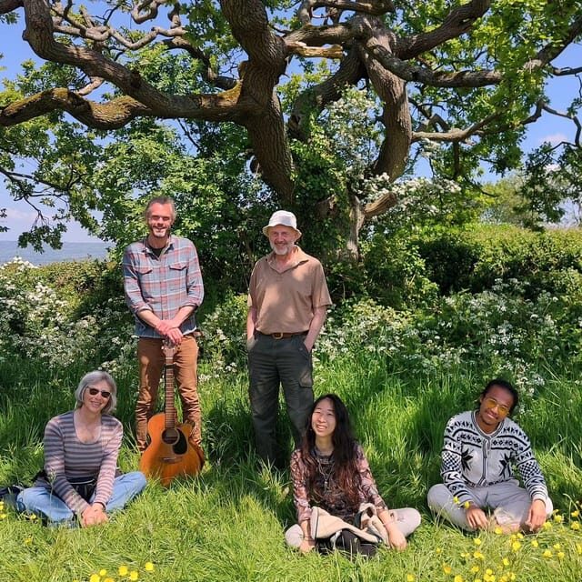 A Tour of Glastonbury - Guided by the Trees - An In-Depth Look at the Itinerary