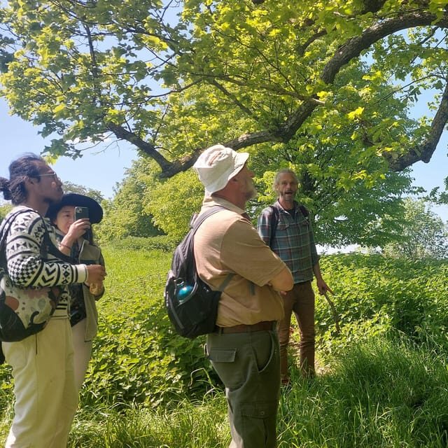 A Tour of Glastonbury - Guided by the Trees - Who Will Love This Tour?