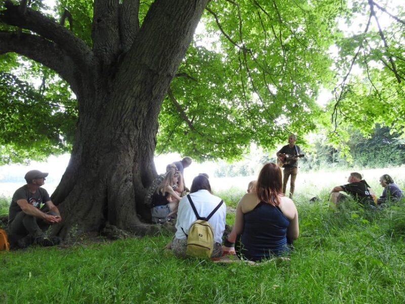 A Tour of Glastonbury - Guided by the Trees - Final Thoughts