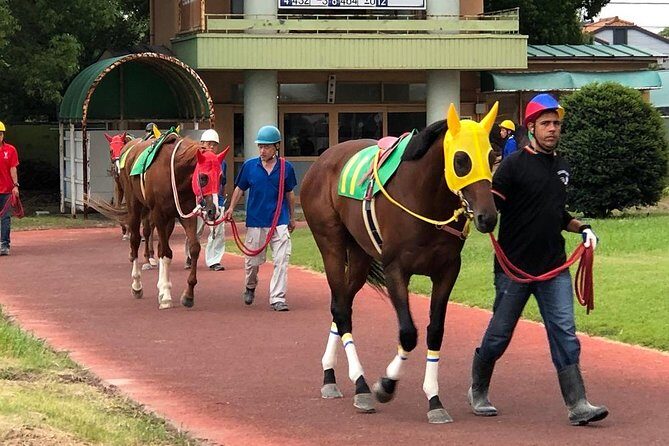 A tour to enjoy Japanese official gambling (horse racing, bicycle racing, pachinko) - The Cost and Value of the Tour