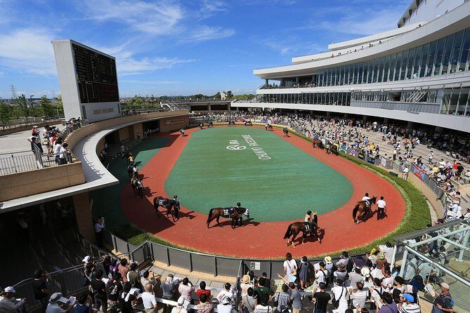 A tour to enjoy Japanese official gambling (horse racing, bicycle racing, pachinko) - The Sum Up: A Quirky but Authentic Japanese Experience