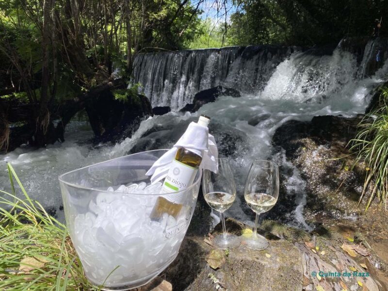 A trip through the Vinhos Verdes of the Basto Region - An in-Depth Look at the Basto Wine Tour