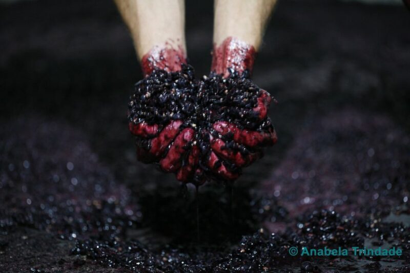 A trip through the Vinhos Verdes of the Basto Region - FAQ