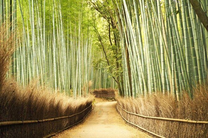 A trip to Kyoto and Osaka in one day - Key Points