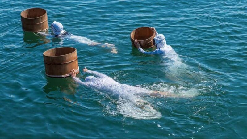 A trip to visit Ise Grand Shrine and experience Ama culture - Transportation, Group Size, and Value