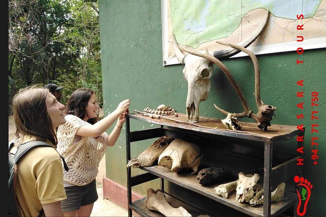 A Udawalawa Park safari, Tour from Colombo/Galle- (All inclusive) - The Sum Up