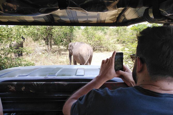 A Udawalawa Park safari, Tour from Colombo/Galle- (All inclusive) - FAQ