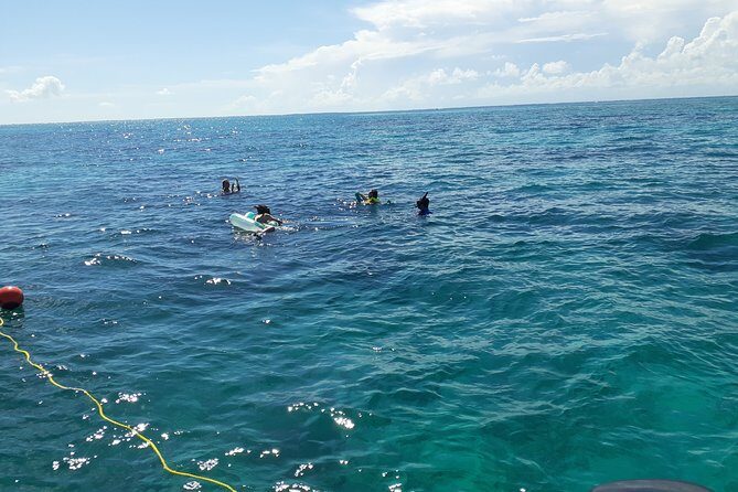 A Unique Private Snorkel Tour of Key Largo - Introduction: Discovering a Unique Snorkeling Option in Key Largo