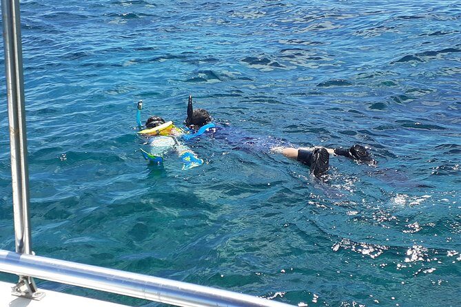 A Unique Private Snorkel Tour of Key Largo - Price, Value, and Booking Insight