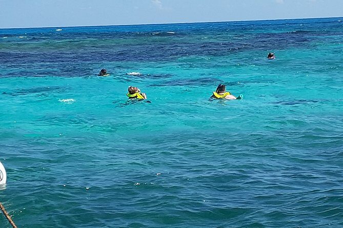 A Unique Private Snorkel Tour of Key Largo - The Sum Up: Is It Worth It?