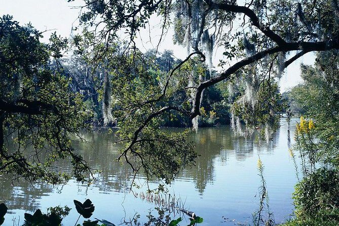 A Walk in the Park: City Park New Orleans Audio Tour - An In-Depth Look at the Tour Experience
