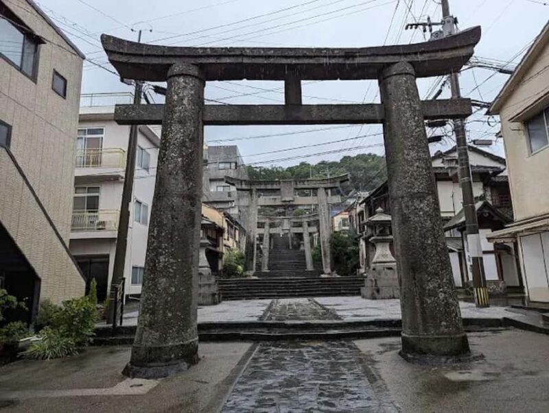 A Walk Through Suwa Shrine & Kofuku-ji Temple - Exploring the Details: What You Can Expect