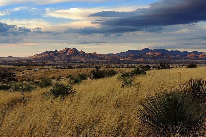 A Wine Tasting Experience in the Vineyards of the Desert - Practical Information & Tips