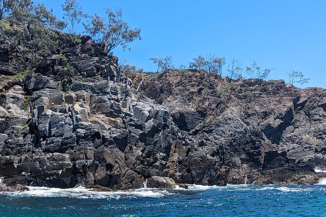 AAA Noosa National Park tour and Dolphin Safari Whalesongsnoosa - Key Points