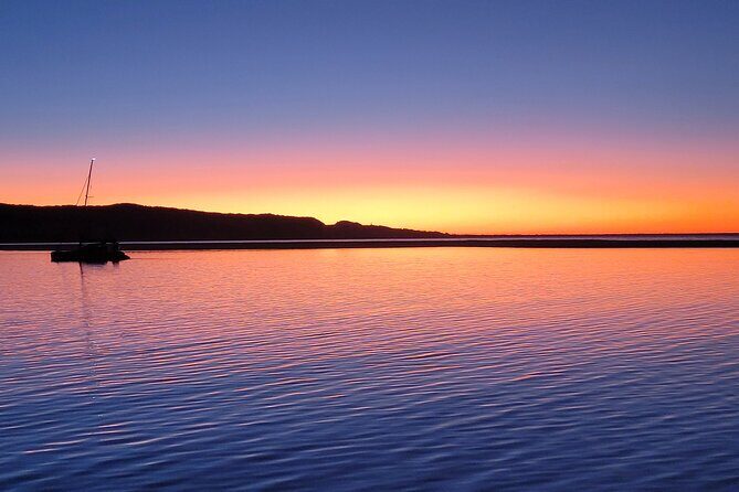AAA Noosa National Park tour and Dolphin Safari Whalesongsnoosa - Why You Might Choose This Tour