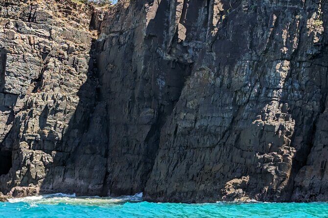 AAA Noosa National Park Tour and Dolphin Safari Whalesongsnoosa - Introduction: A Serene Marine Encounter in Noosa