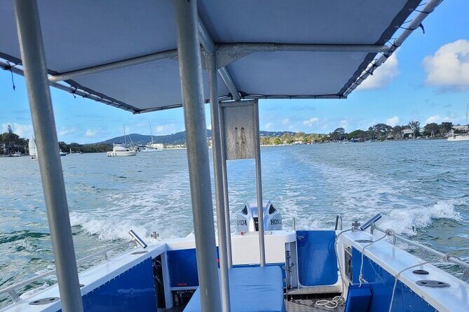 AAA Noosa National Park Tour and Dolphin Safari Whalesongsnoosa - Analyzing the Value