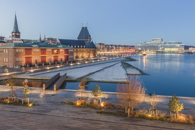 Aarhus Private Transfer from Aarhus (AAR) Airport to City centre - Vehicle Options and Comfort