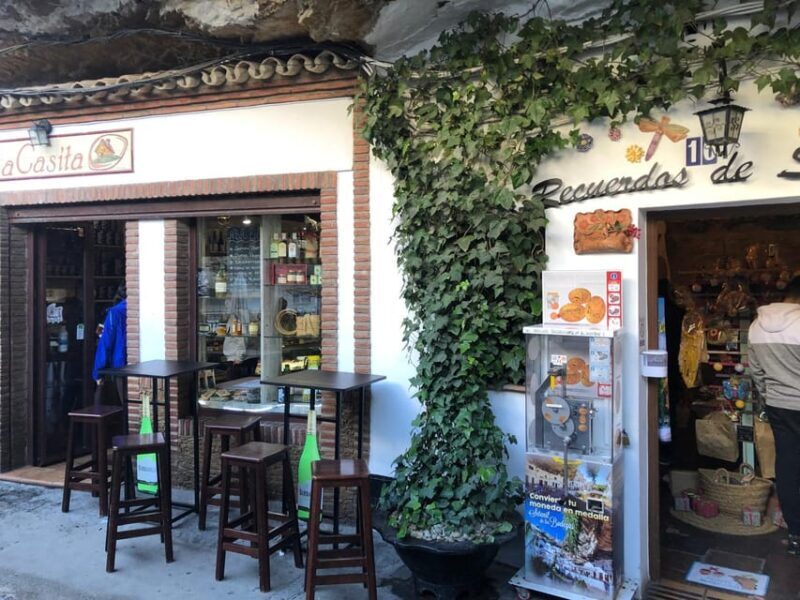 ab Mijas: Private VIP-Tour Ronda und Setenil de las Bodegas - Final Thoughts