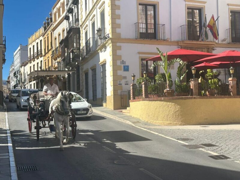 ab Mijas: Private VIP-Tour Ronda und Setenil de las Bodegas - FAQ