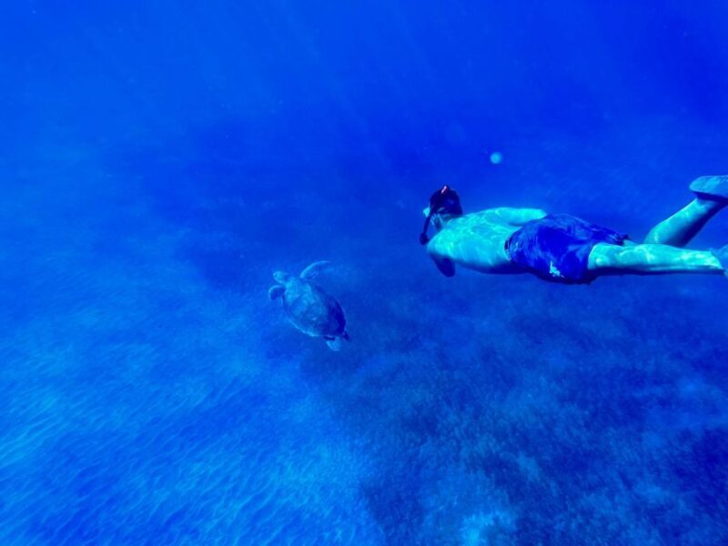 Abades: Guided Snorkeling Tour with Photos - Starting Point and Location