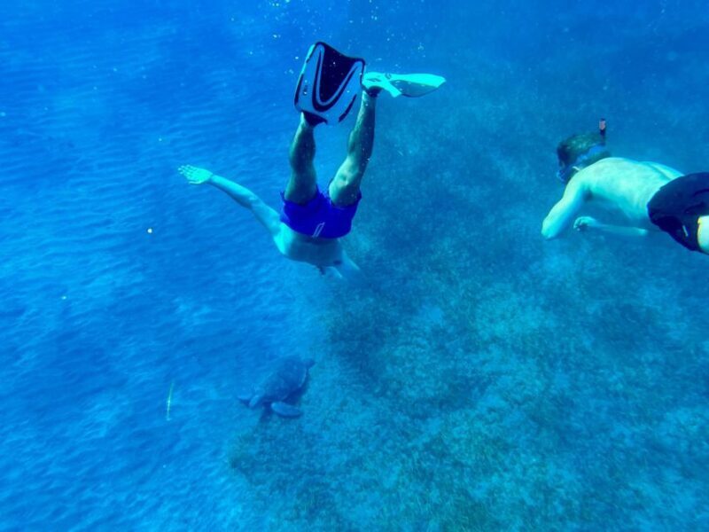 Abades: Guided Snorkeling Tour with Photos - Considerations and Tips
