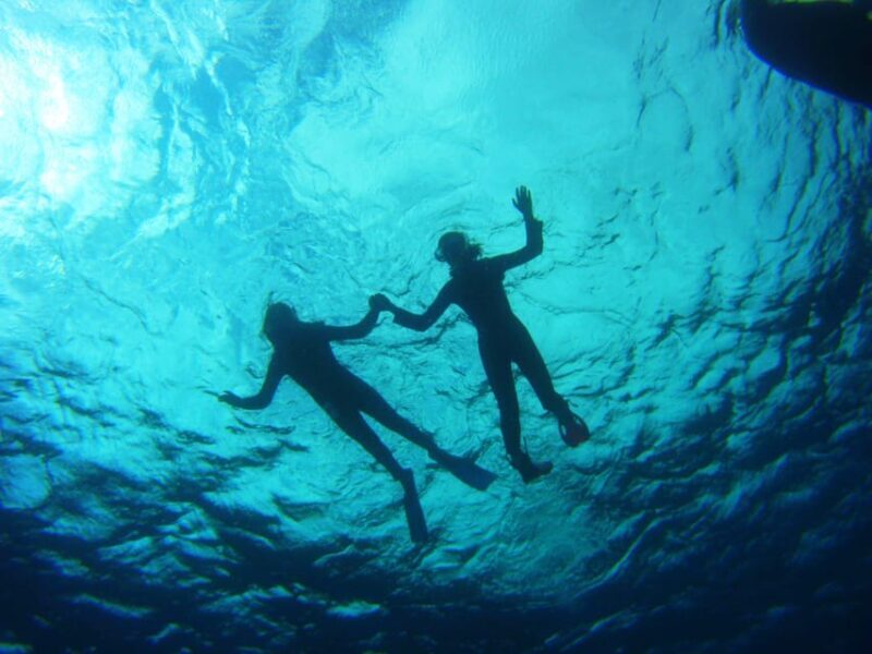 Abades: Paddle Surf and Snorkel with Turtles in a Volcanic Reef - Overview of the Experience