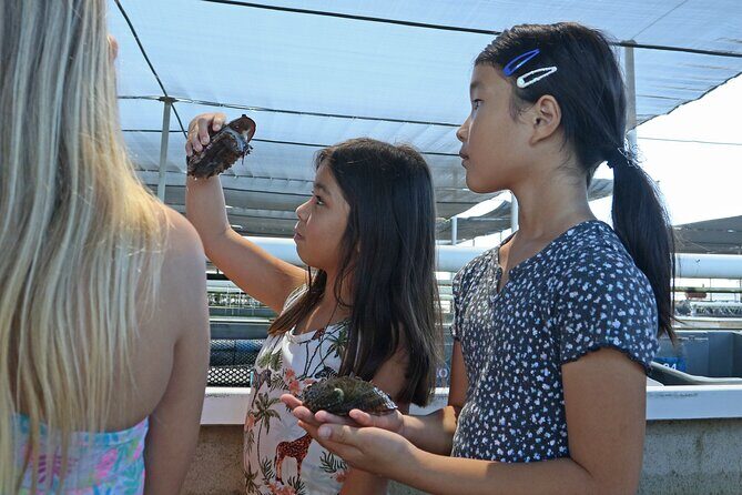 Abalone Farm Tour - The Tour Experience in Detail