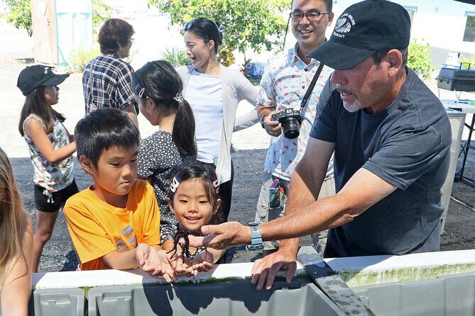 Abalone Farm Tour - Practical Details and Value