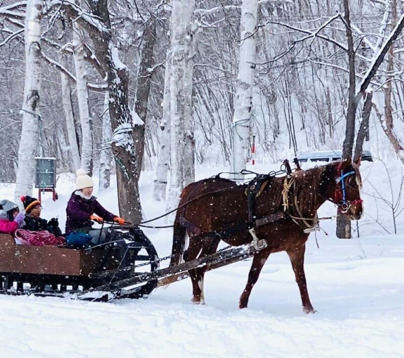 Abashiri: Horse-Drawn Sleigh Ride & Making Local Cuisine - A Gentle Introduction to Abashiri’s Winter Charm