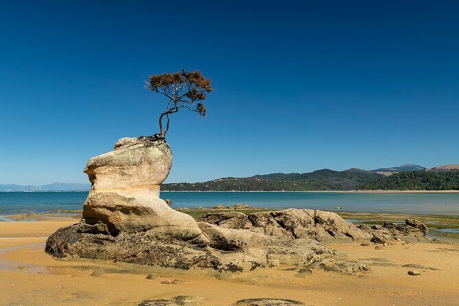 Abel Tasman Adventure Private Tour from Nelson Cruise Port - Introduction